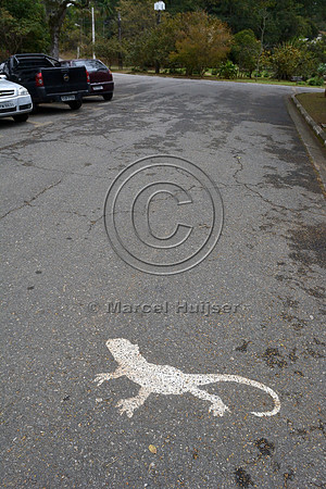 Marcel Huijser Photography | Wildlife warning signs | Painted warning ...